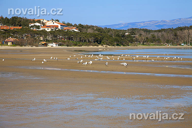 Lopar, ostrov Rab | NOVALJA